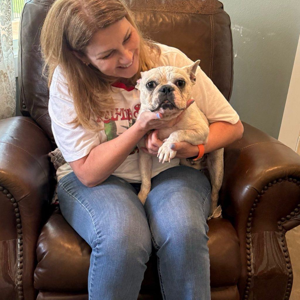 Stewie | Dog Ranch Rescue