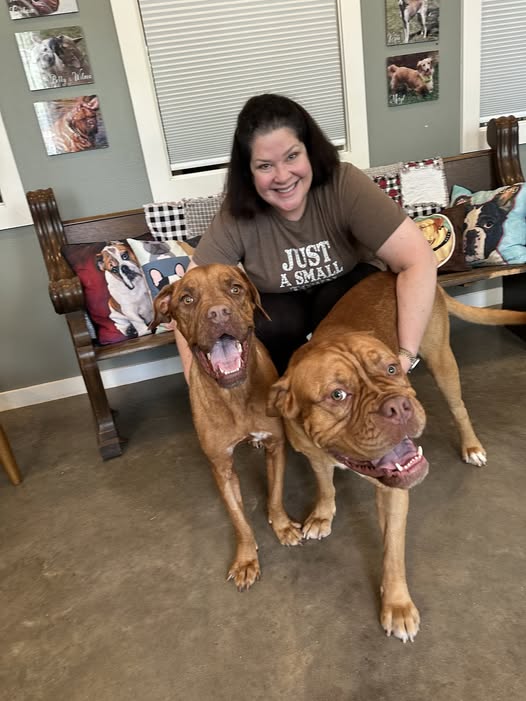Baja | Dog Ranch Rescue