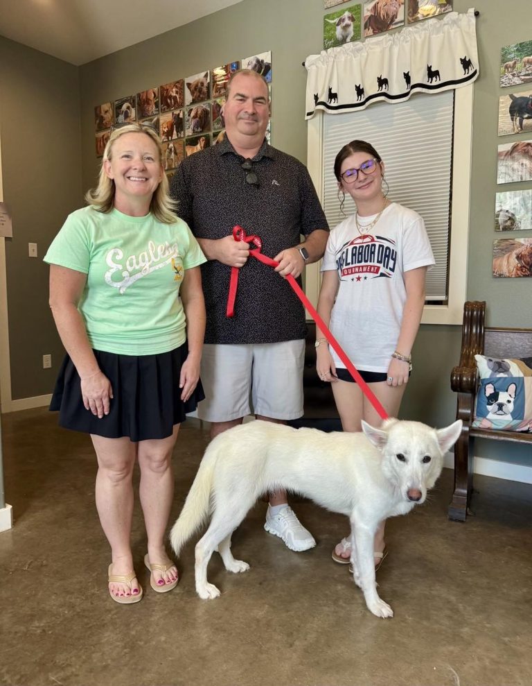 Bindi | Dog Ranch Rescue