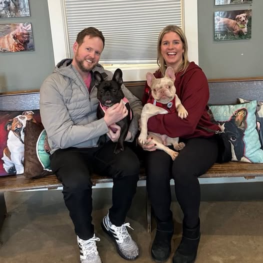Kevin | Dog Ranch Rescue