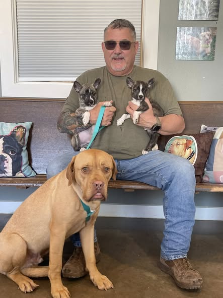 Trapper | Dog Ranch Rescue