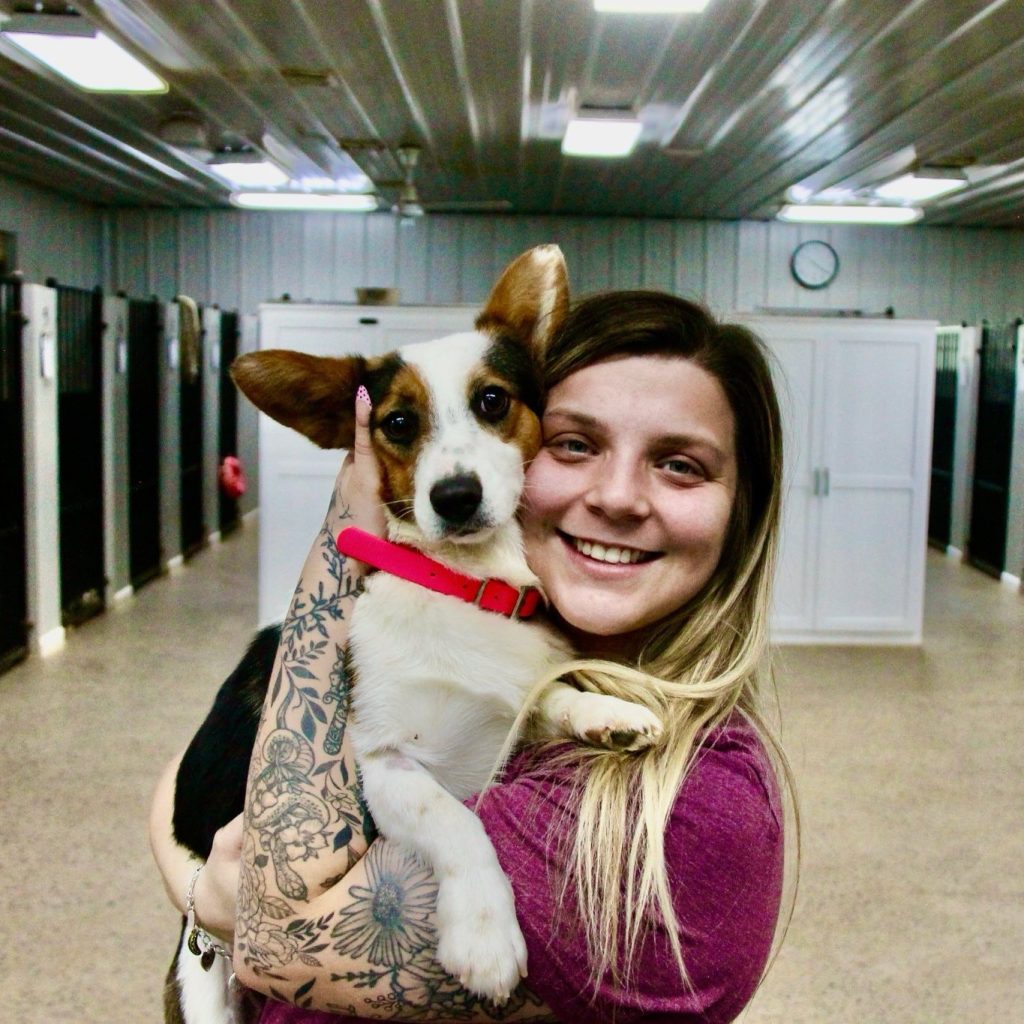 Little Debbie | Dog Ranch Rescue